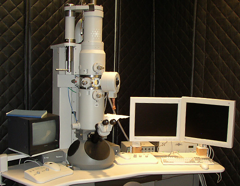 Electron cryotomography (ECT)